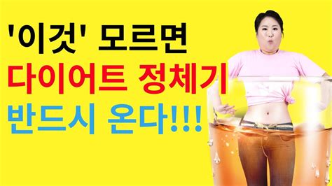 다이어트 정체기 딱 4가지만 알면 극복할 수 있다 다이어트 요요 정체기 극복하기 Youtube