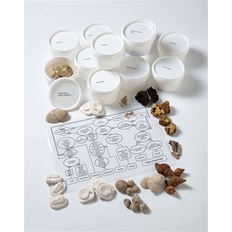 He1302664 Class Fossil Pack Findel Education