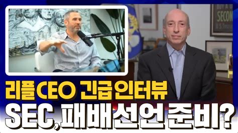 리플 비트코인 이더리움 리플 Ceo 긴급 인터뷰 Sec 패배 선언 준비중” Youtube