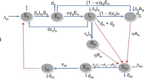 Seiar Sei Epidemic Model On The Spread Of Malaria With The Influence Of Immigrant Infections