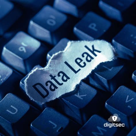 DigitSec Salesforce Security Scanner Penetration Testing