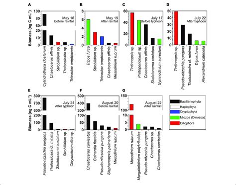 A G Biomass Of The Five Dominant Planktonic Protists At The Download Scientific Diagram