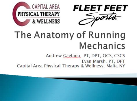 The Anatomy Of Running Mechanics Capital Area PT Wellness