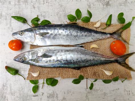 Fresh Seer Fishking Fish Decorated With Herbs Stock Image Image Of