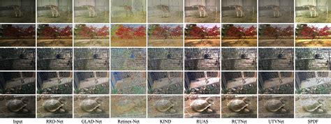 Figure 1 From A Perception Aware Decomposition And Fusion Framework For Underwater Image