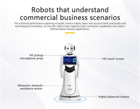 Alice Humanoid Reception Robot Programmable Hot Selling Service Robot Alice