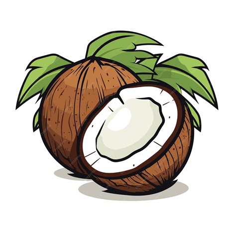 Vector De Coco Vector Premium