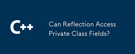 反射可以存取私有類別欄位嗎? C Php中文網 反射可以存取私有類別欄位嗎? C Php中文網