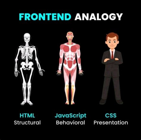 Najib Bohli On Linkedin Webdevelopment Javascript Reactjs React Webdev Frontend