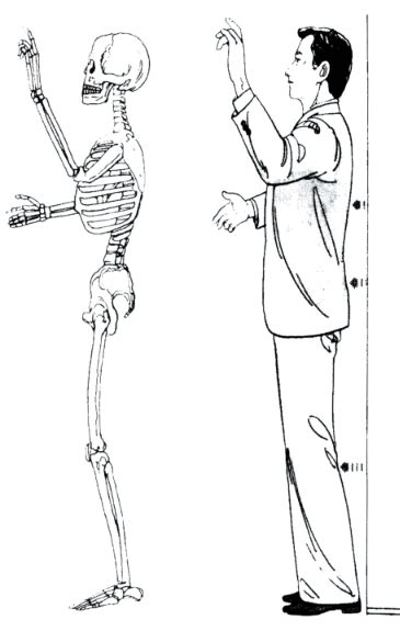 站立直立简笔画 简笔画图片大全 普车都