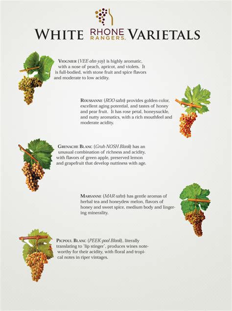 Paso Robles Wine Famous For Rhône Blends Wine Folly