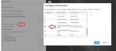 Access Raster Function Template In Arcgis Online Esri Community