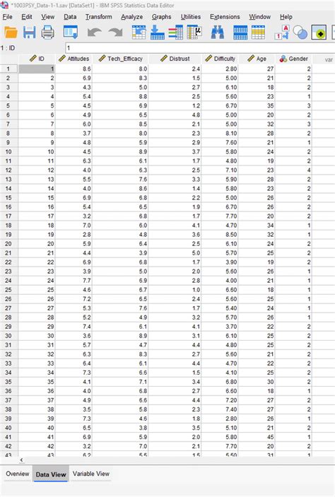 Tool Set Of Templates To Translate Conceptual Model Into A Manual For Spss R Spss