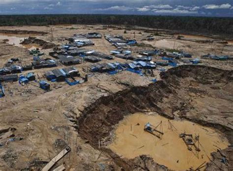 Minería Ilegal De Oro Amenaza Tribu Aislada De Brasil Tiempo Minero