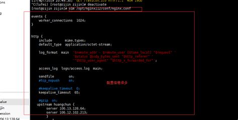 Linux之Nginx使用 W的一天 博客园