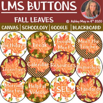Canvas LMS Buttons Fall Leaves By Ashley May In Th TPT