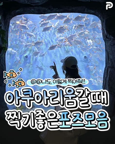 언니 리스트 쿨톤 ˋˏ주목ˎˊ˗ 추천하는 립추천5💗💄 데일리로 바르기 좋자나‍୨ৎ💋 쿨톤 쿨톤메이크업 립추천 쿨톤립 쿨톤틴트 여쿨 겨쿨 Instagram