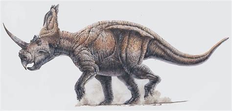 Art Illustration Dinosaurs Centrosaurus Reptile Sharp Point Is