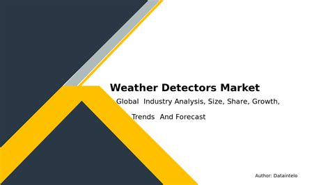 Weather Detectors Market Report Global Forecast From 2025 To 2033
