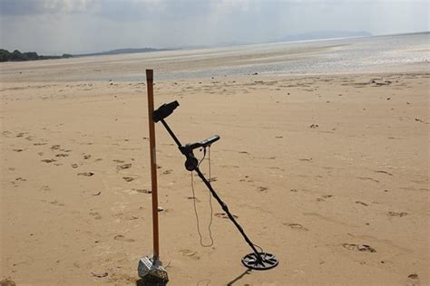 Metal Detecting In Washington A Very Good State To Explore