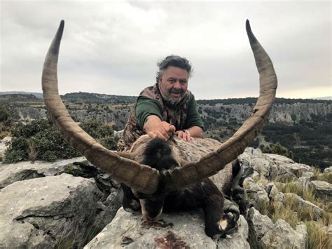 Beceite Ibex Spanishibex