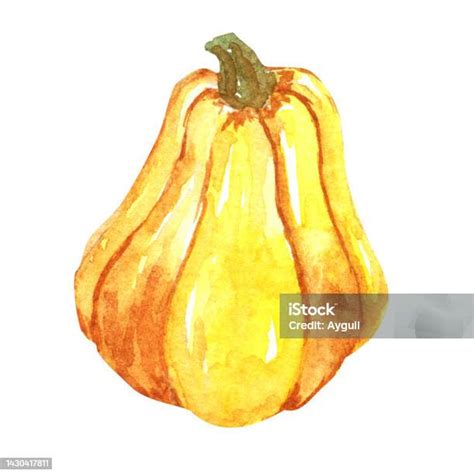 수채화 호박 고립 된 흰색 배경에 수채화 엽서 일러스트레이션 0명에 대한 스톡 벡터 아트 및 기타 이미지 0명 10월 가을 Istock
