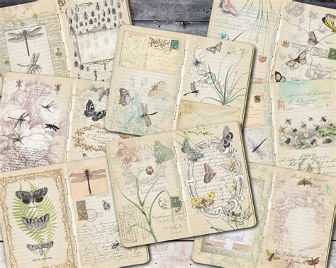 Vintage Butterfly And Bug Paper Notebook Background Digital Etsy