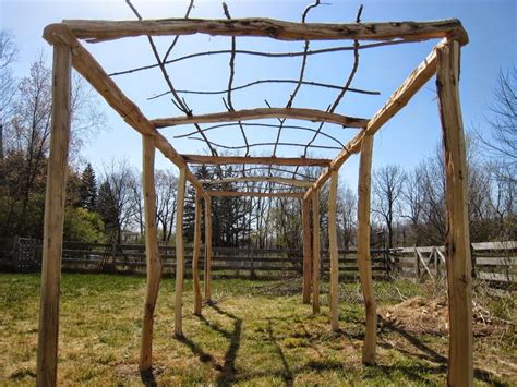 Hardy Kiwi Trellis Backyard Trellis Farm Projects Garden Trellis