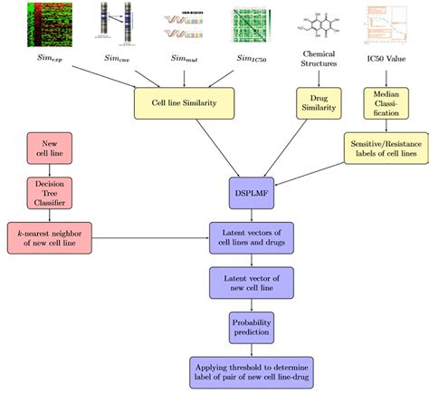 Frontiers Dsplmf A Method For Cancer Drug Sensitivity Prediction Using A Novel Regularization