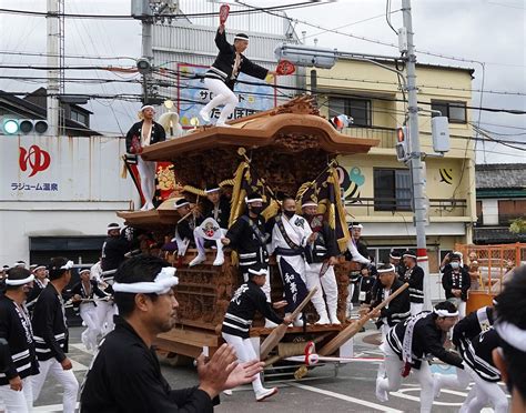 和泉だんじり祭曳き出し