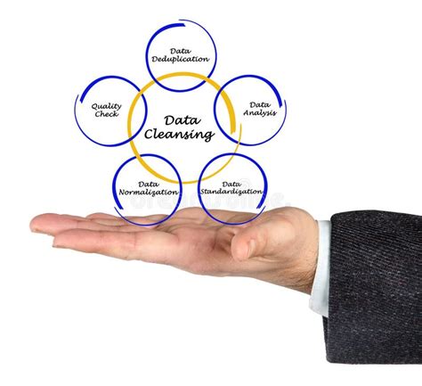 Data Cleansing Cycle Stock Photo Image Of Person Development 117561314