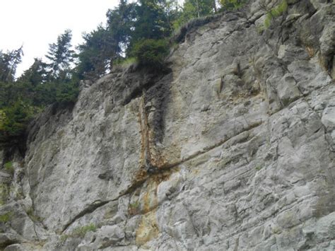 გოდერძის ნამარხი ტყის ბუნების ძეგლი Travel In Georgia