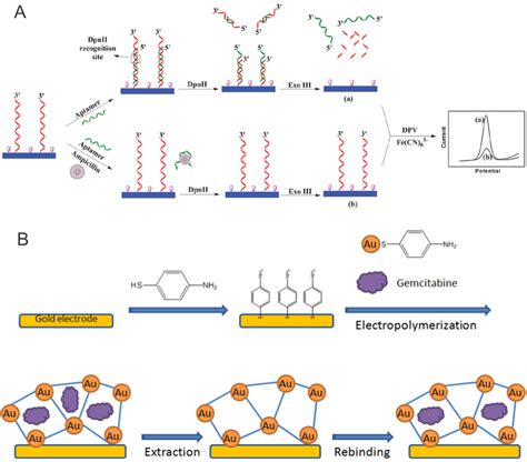 Representative Examples For Successful Electrode Modification For Download Scientific Diagram