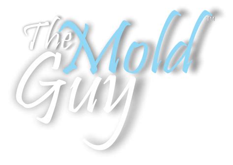 How To Identify And Remove White Mold In Your Home Guide