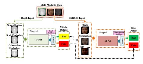 The Overall Cascade Framework For Face Anti Spoofing Where The D Net Download Scientific
