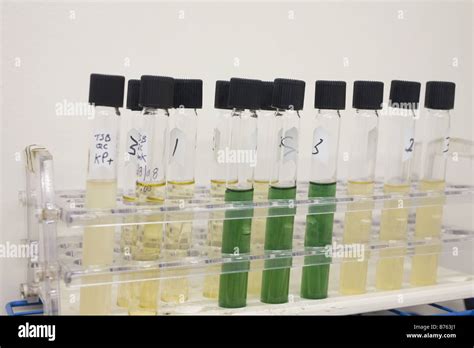 Coliform Membrane Filtration Test At Hayden Ness Blog