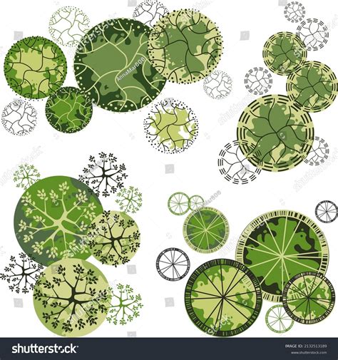 Trees Master Plan Tree Architectural Floor Stock Vector Royalty Free Shutterstock