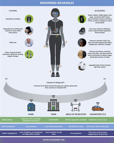 Healthcare Wearable App Development Guide Orangesoft