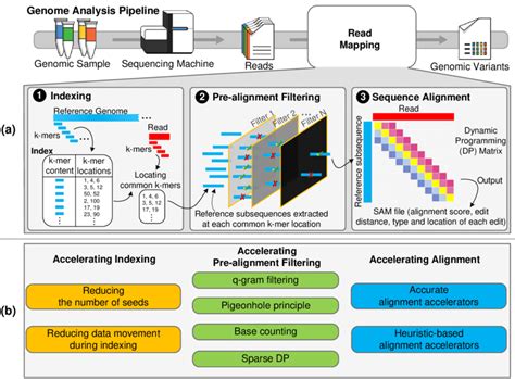 A The Three Steps Of Read Mapping In Genome Analysis 1 Indexing