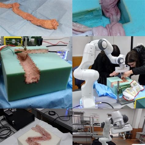 camera intrinsic extrinsic calibration images examples of planar download scientific diagram