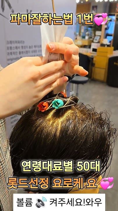 파마 잘하는법 1번 롯드선정 요로케요💞사모님머리파마컷트사모님파마 드라이보브컷보브단발 스타일링뷰티여자머리여자머리추천헤어스타일헤어haircut