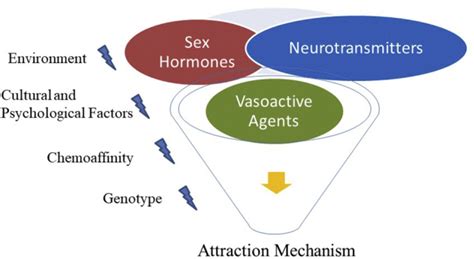 Sexual Disorders And Quality Of Life In Parkinson S Disease Pmc
