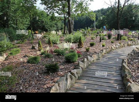 This Title Appears To Represent A Coding Or Webpage Reference In Html Specifically 6dl Html