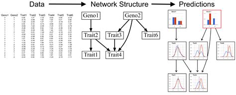 Bayesian Network Webserver