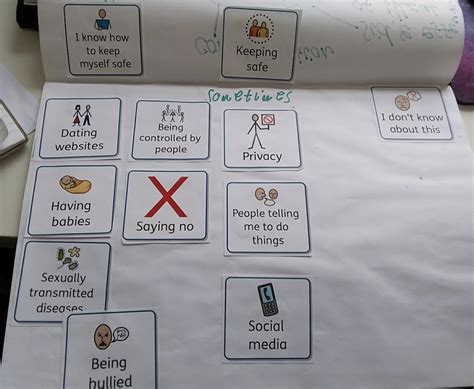Sex And Relationships Using Talking Mats To Assess Understanding Of Concepts And Vocabulary