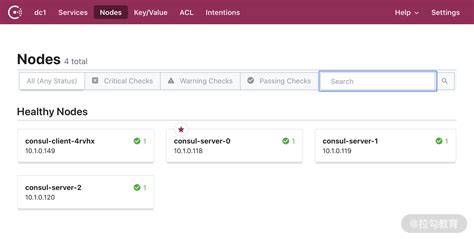 Go微服务实战第十三节 如何基于 Consul 给微服务添加服务注册与发现？consul新增services Csdn博客