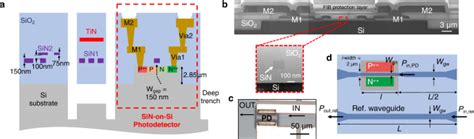 可见光集成光子学平台中的单片集成、宽带、高效硅基氮化硅波导光电探测器 Nature Communications X Mol