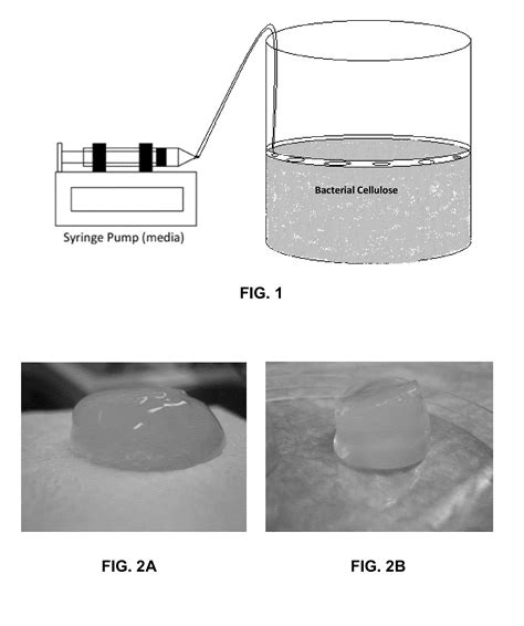 Three Dimensional Bioprinting Of Biosynthetic Cellulose Bc Implants And Scaffolds For Tissue