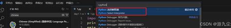 Python环境配置，开发工具为vs Code（python初学者） Windowsvscode设置python环境变量 Csdn博客