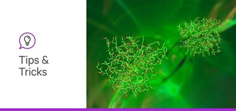 Everything We Know About Lectin Structure Classification And Function Vectorlabs